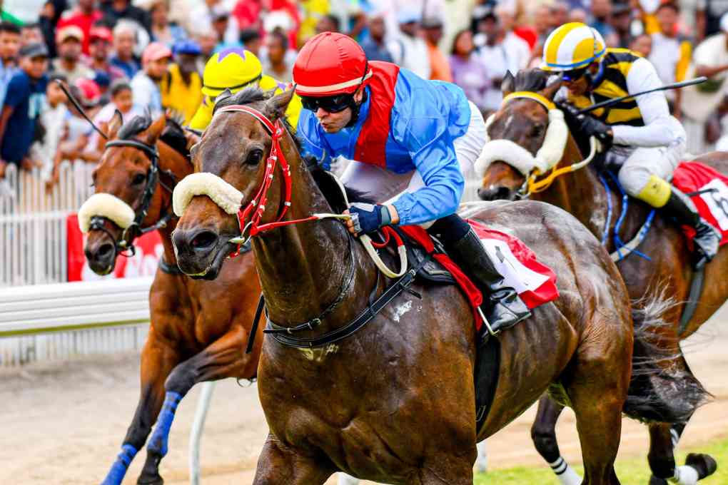 Supertote ~ racecards, tips and betting for Mauritius horse racing