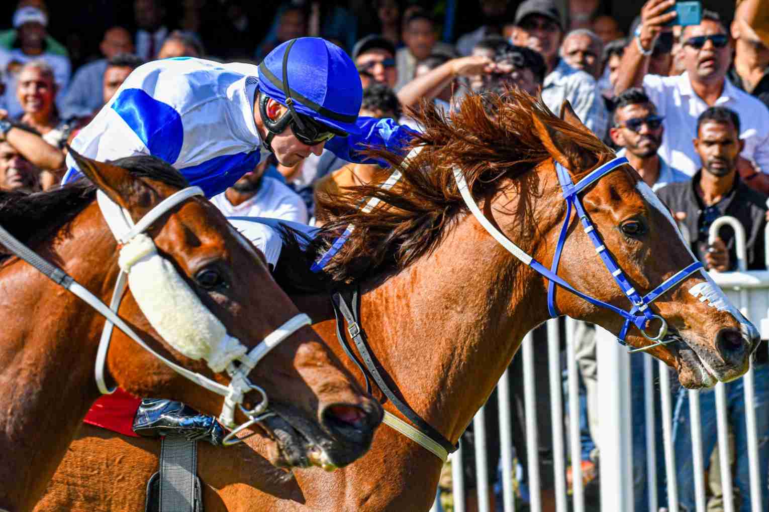 Supertote ~ racecards, tips and betting for Mauritius horse racing